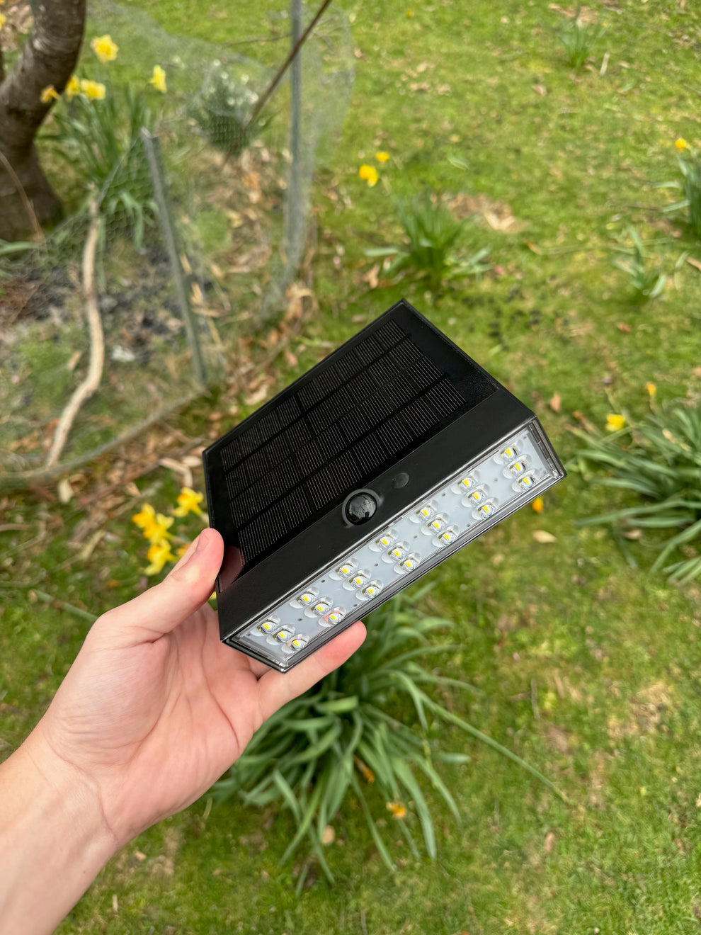 Sola - Angled – SOLA Lighting